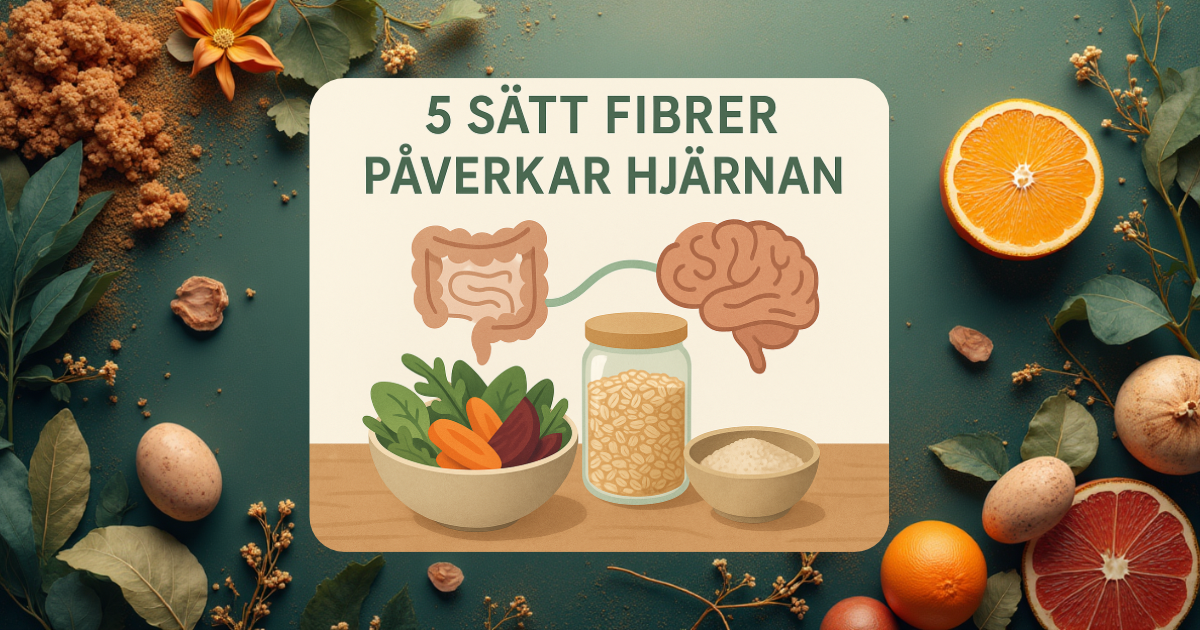 Fibrer & mental hälsa – så stöttar du tarm–hjärn-axeln – Erics Hälsohörna